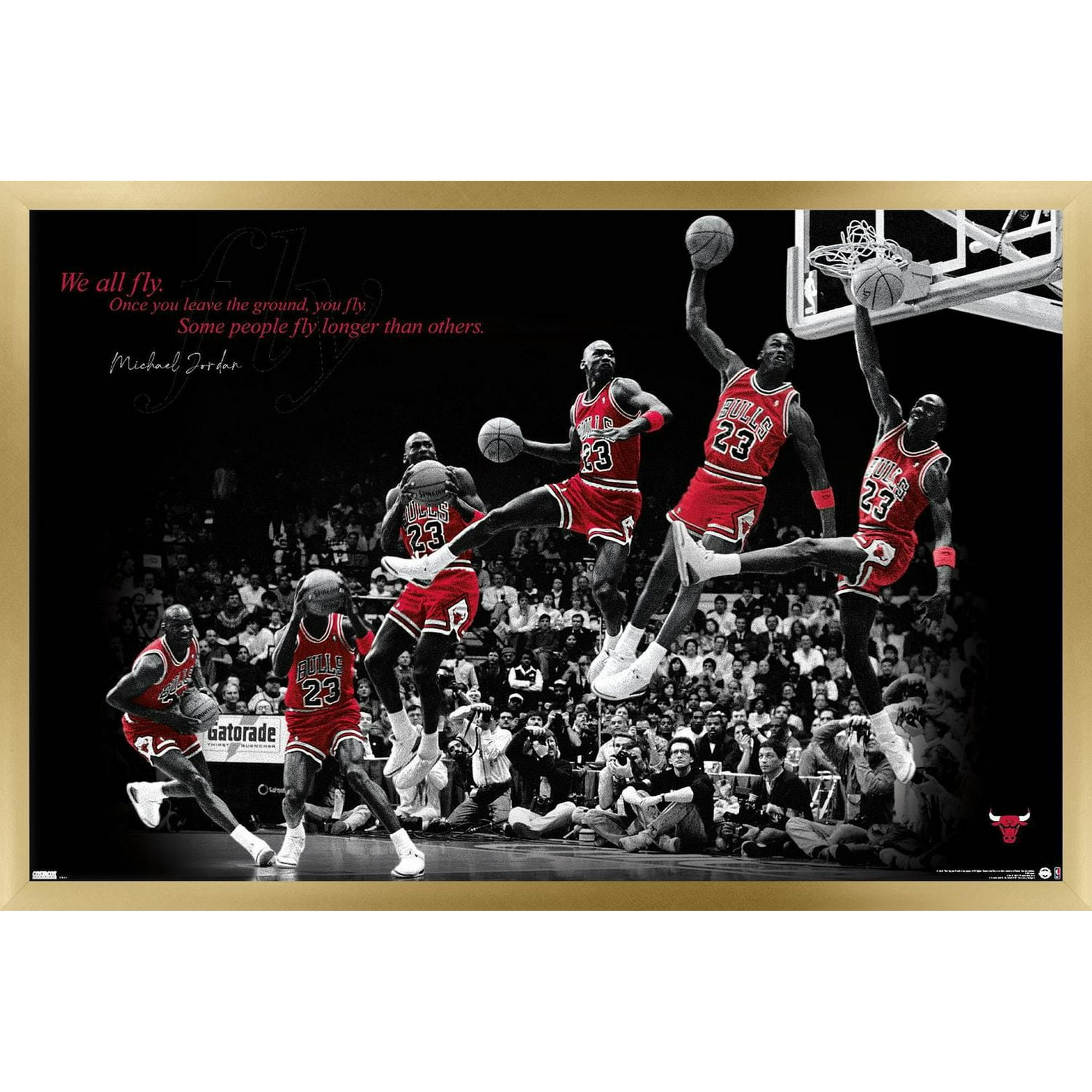 Click here for Trends International Michael Jordan - Fly Wall Pos... prices