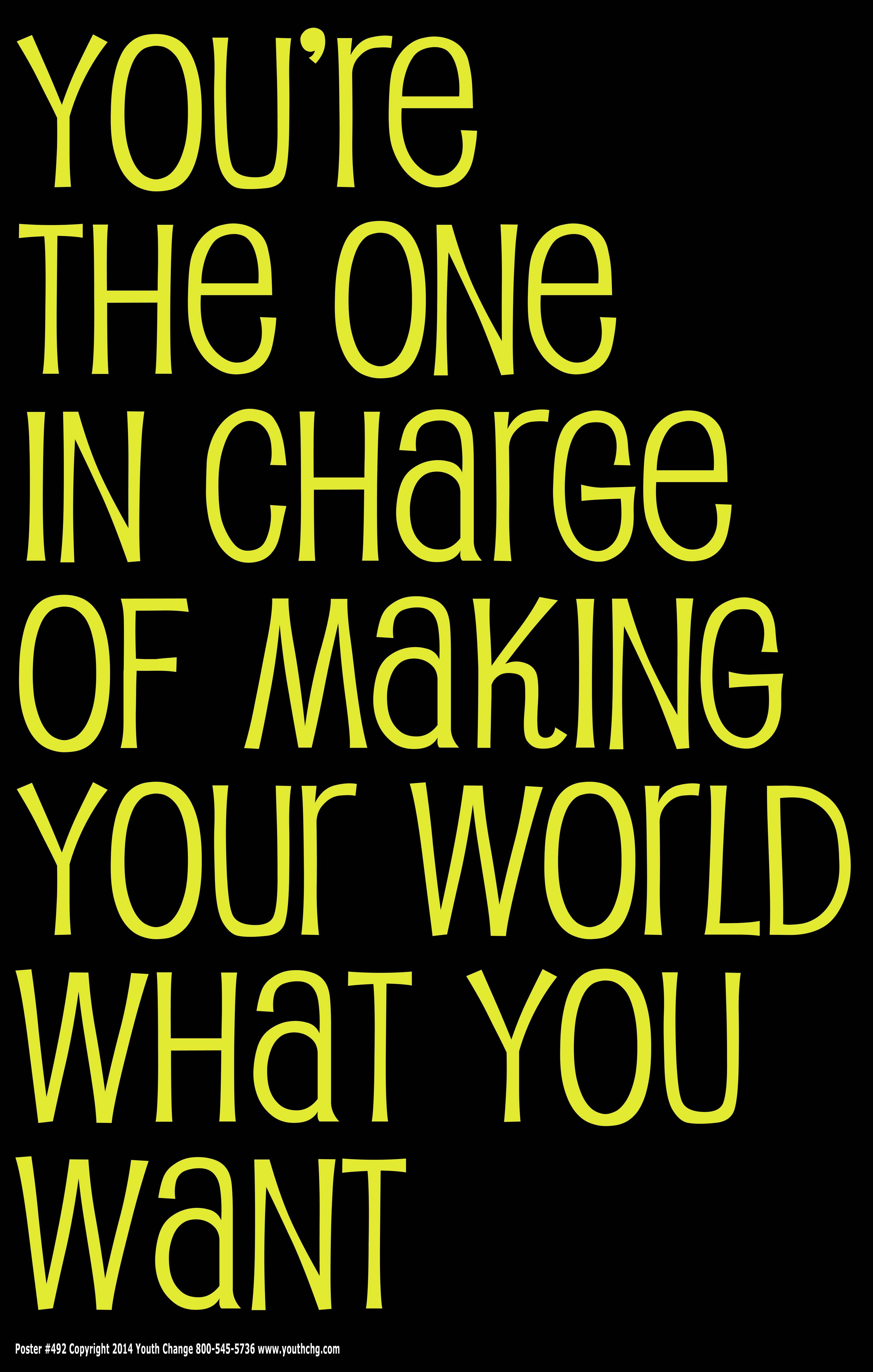 Youth Change Poster #492 Motivational Classroom Poster Gives Hope ...