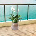 Set of 2 Gradient Ceramic Flowerpot, Modern Planter for Patio, Garden ...
