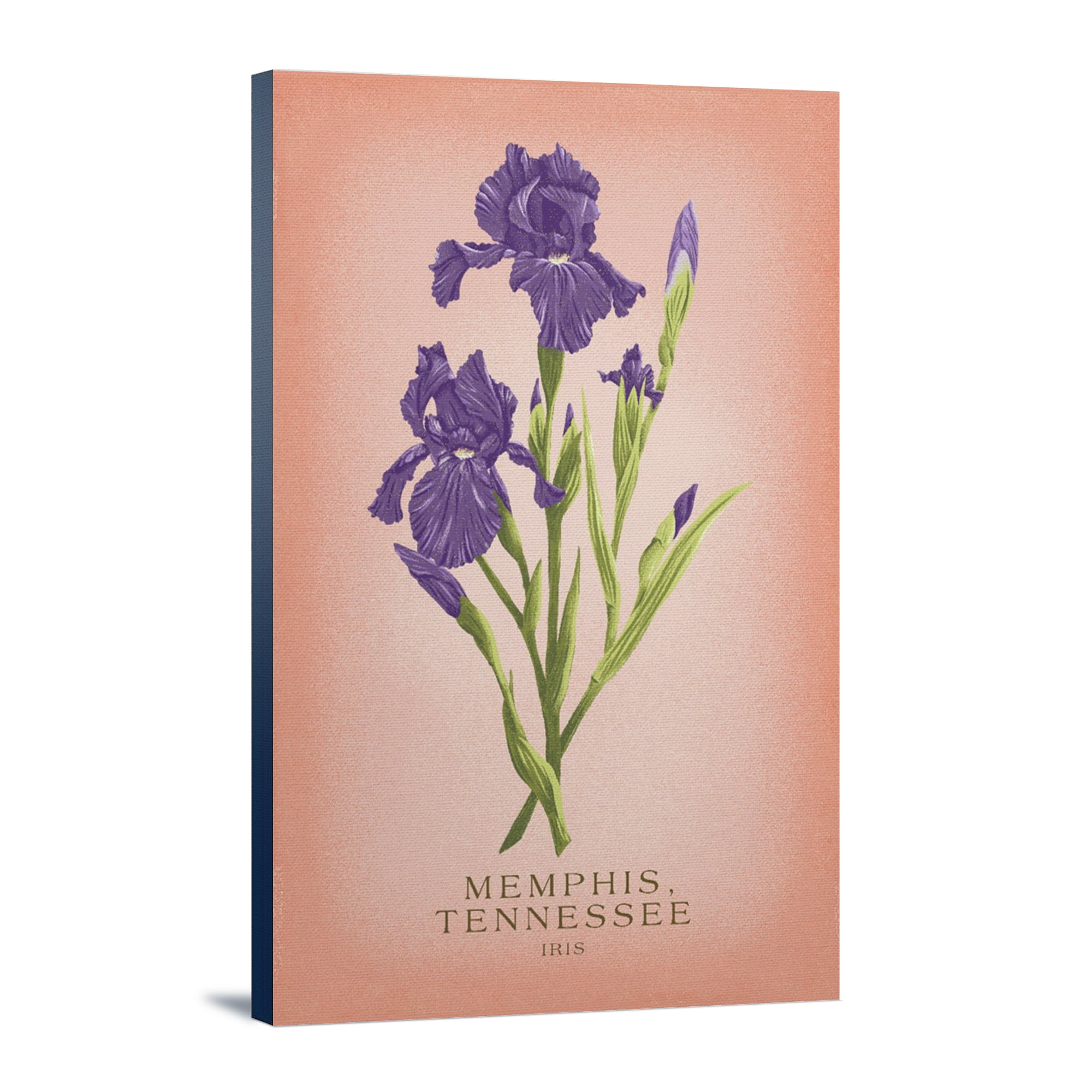 Memphis, Tennessee, Vintage Flora, State Series, Iris, (12x18 Wrapped ...