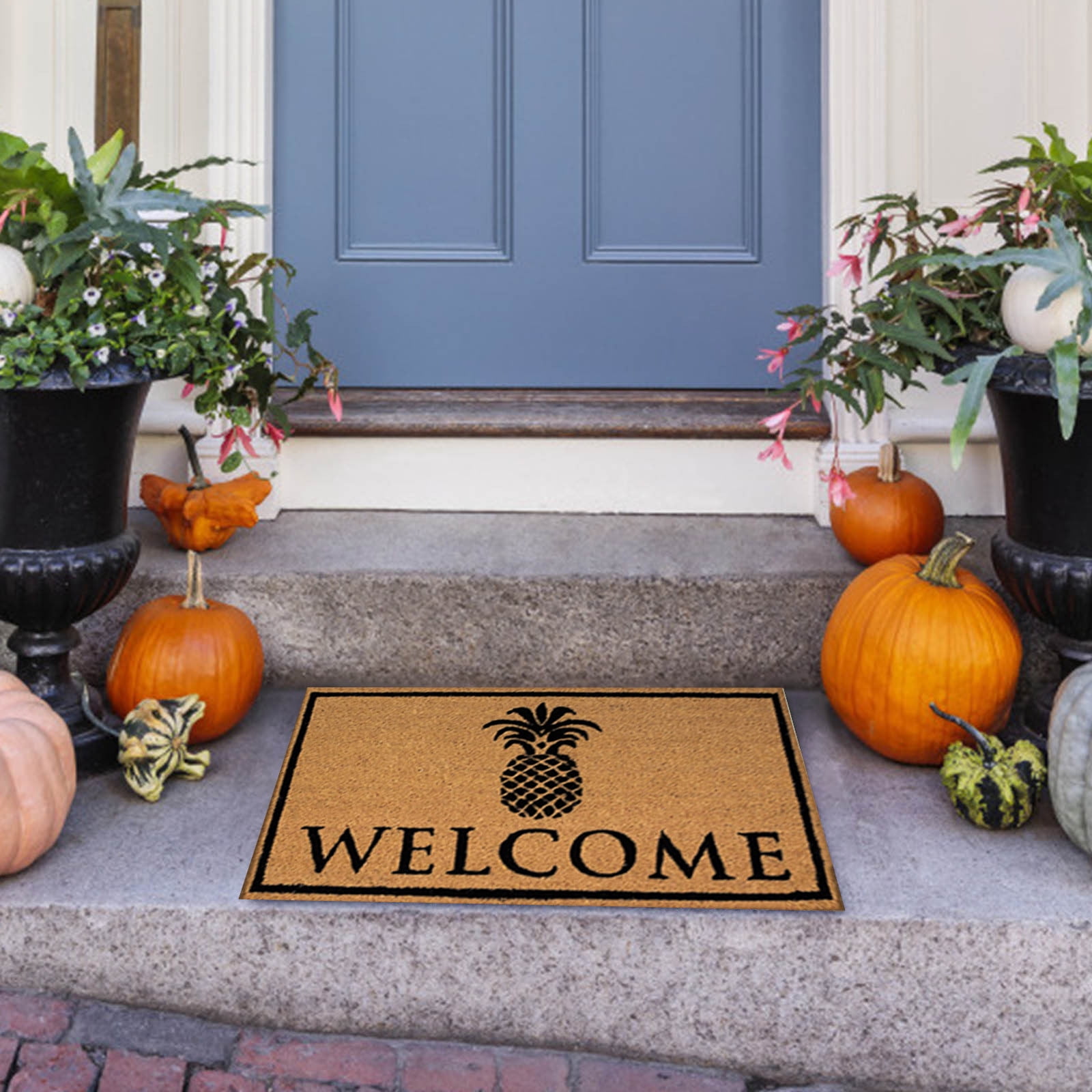Click here for Abpwly Welcome Doormat In Summer 31.5x19.7 Inches... prices