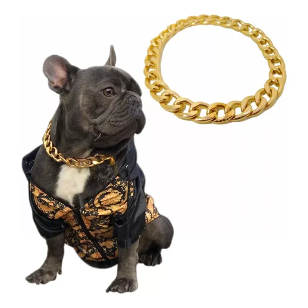 Cadena Para Perros Tipo Cubana Color Dorado Tipo Castigo | Bodega ...