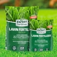 Expert Gardener Lawn Food Fertilizer Plus 2% Iron,14 lb. - Covers 5,000 ...