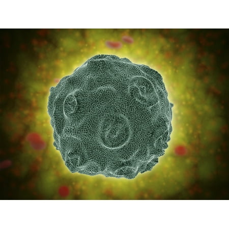 Conceptual image of the Human Papilloma Virus. HPV is a virus from the ...