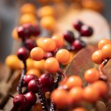 Sullivans Vibrant Autumn Berry Stem - 30.25H Faux Fall Stems - Walmart.com