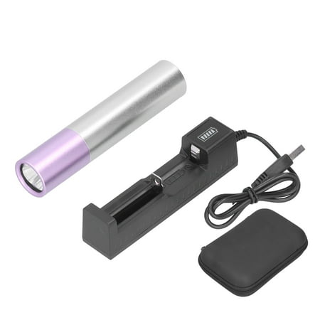Therapy Light,LED Red Light Physiotherapy Portable Therapy Flashlight ...