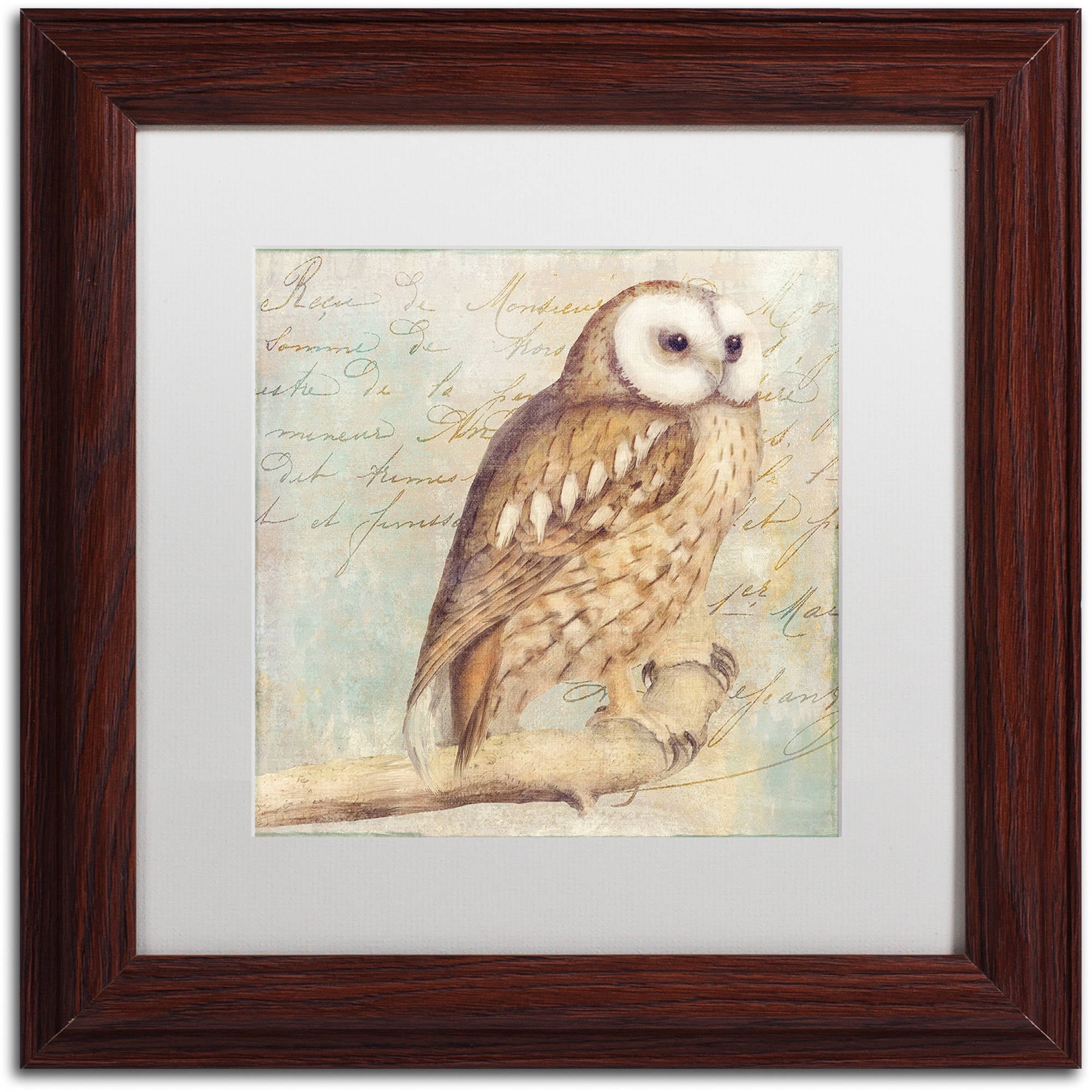 Trademark Fine Art "White-Faced Owl" Canvas Art by Color Bakery White ...