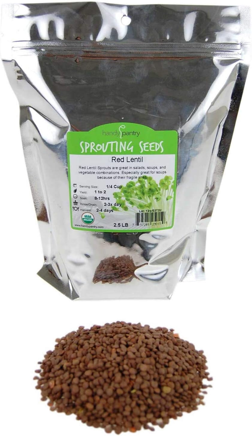 Organic Red Lentil Sprouting Seeds -2.5 Lbs - Handy Pantry Brand - Red ...