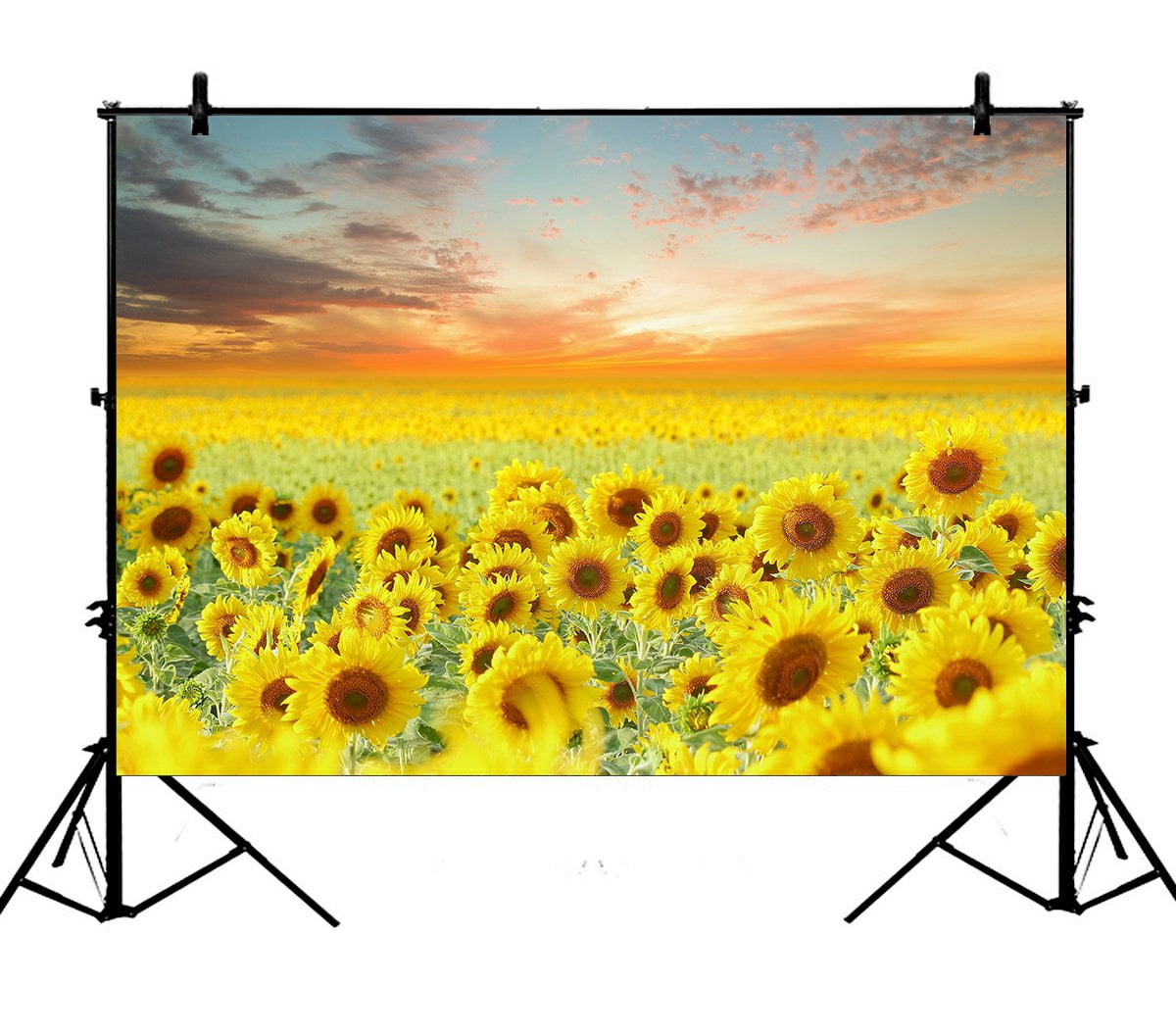 PHFZK 7x5ft Landscape Nature Scenery Backdrops, Beautiful Sunflowers ...