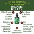 Peak Performance USDA Organic Mullein Leaf Drops, Liquid Tincture ...