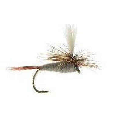 Wet Fly Assortment - 16 Popular Nymphs - 8 Patterns in Sizes 12-18 ...