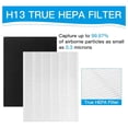 Winix 115115 Filter A Replacement - True HEPA Filter & Carbon Filter ...