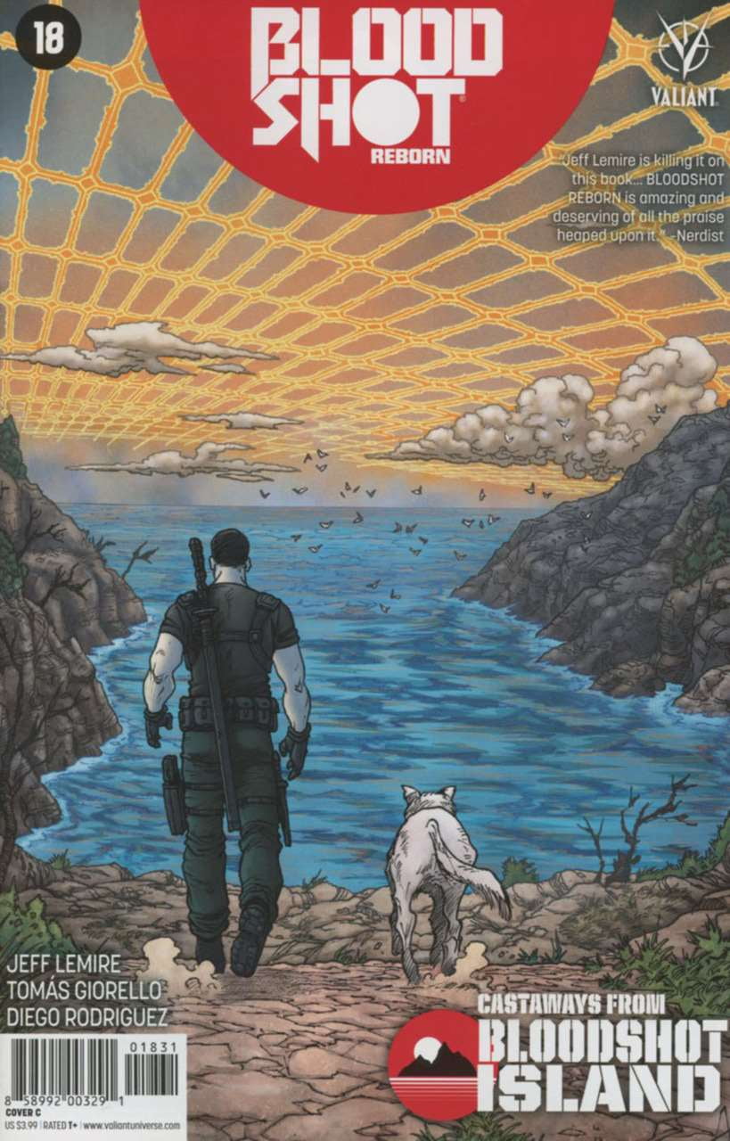 Bloodshot Reborn #18C VF ; Valiant Comic Book - Walmart.com