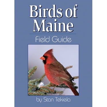 Sibley Guides: The Sibley Field Guide to Birds of Western North America ...