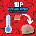 1UP Crispy Freeze Dried Watermelon Gummy Candy, 2.0 oz Resealable Pack ...