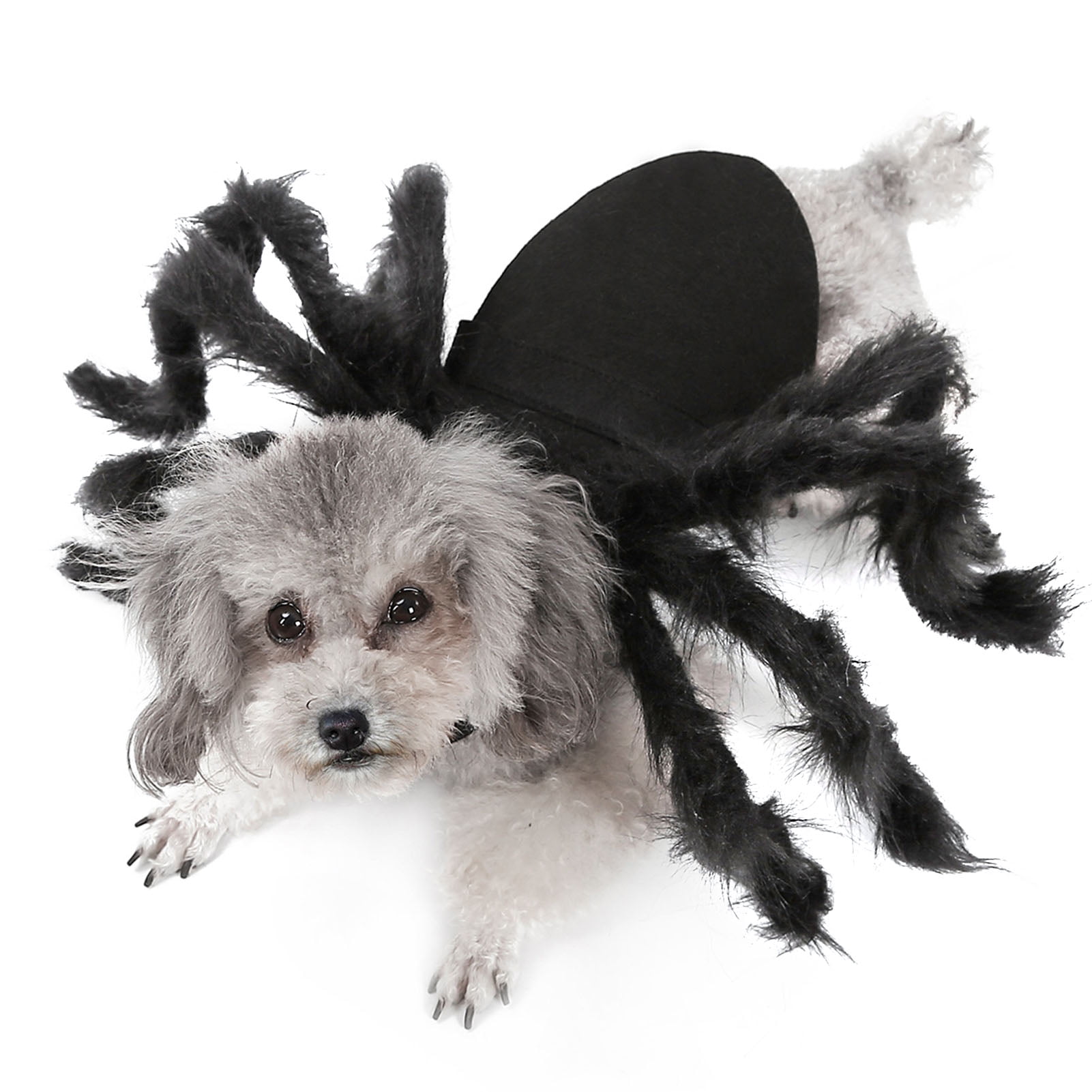 Click here for Tfixol Halloween Dogs Cats Spider Costume Pet Part... prices
