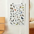 Where's Wildlife Backyard Birds of Wisconsin Bird Identification Poster ...