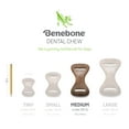 Benebone Real Peanut Durable Dental Dog Chew Toy, Medium - Walmart.com