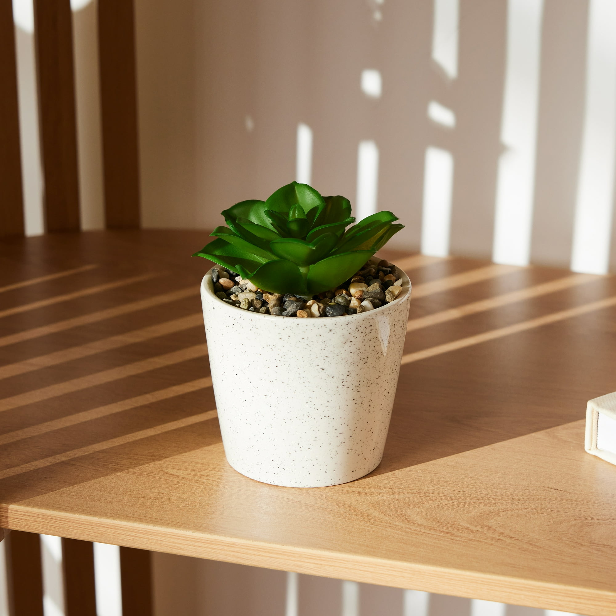 Click here for Anko Artificial Succulent #2 In Pot prices