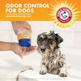 Arm & Hammer Dog Deodorizer & Pet Odor Remover Shampoo, Kiwi Blossom ...