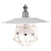 "Premier 1 ""Prima"" Poultry Light, Animal Heater with Bulb for Chick ...