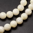 2Strand Natural Sea Shell Beads Strands Round Creamy White 8mm Hole: 1 ...
