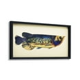 Empire Art Direct Arowana Alex Zeng's dimensional collage, under glass ...