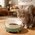 Ceramic Dog Food Bowl, Dog Food Water Dish for Small Breeds, Cats Pet ...