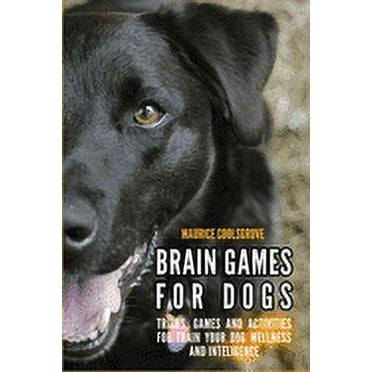 Brain Teasers for Dogs : Quick and Easy Homemade Puzzle Games ...