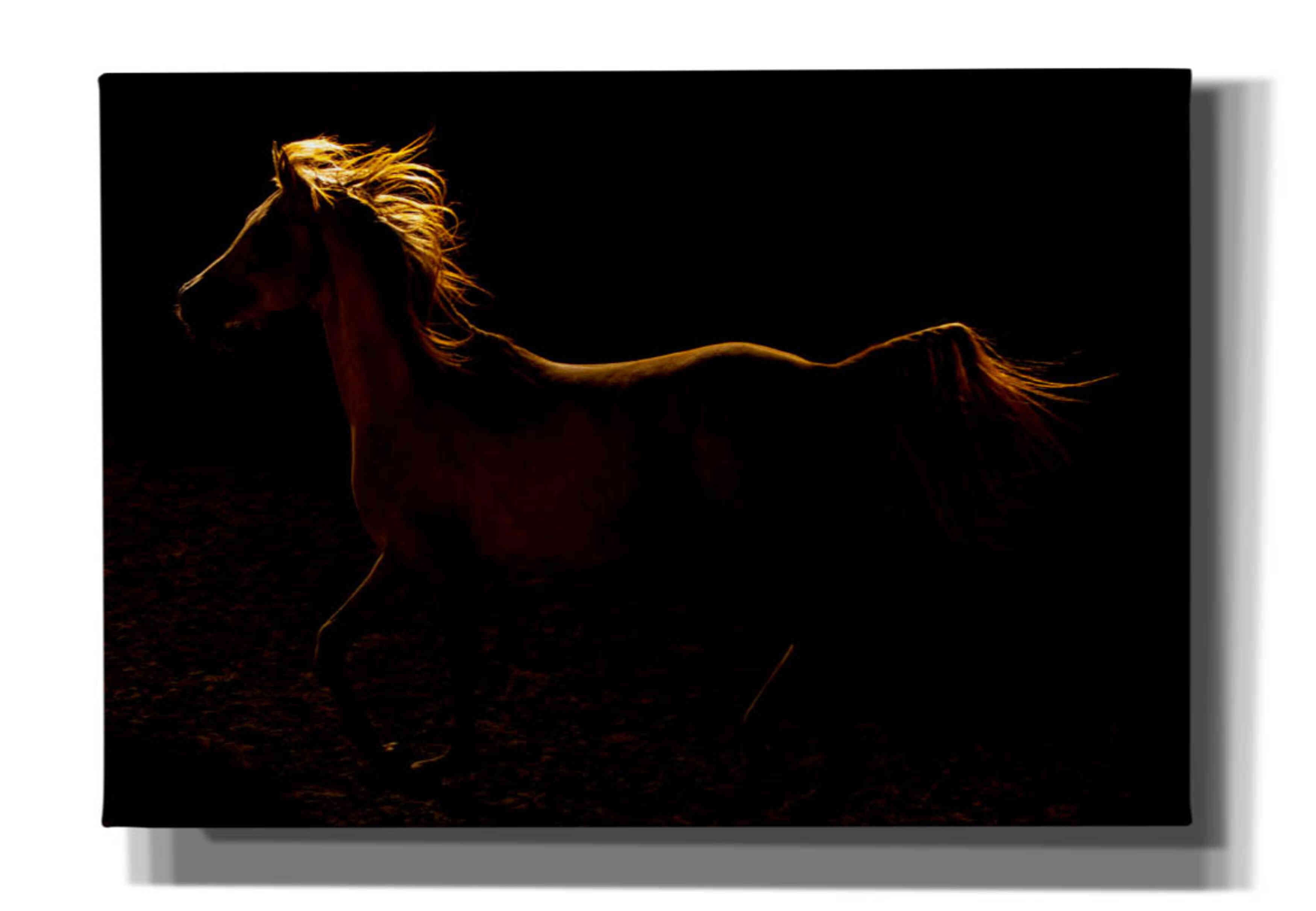 Epic Graffiti 'rim light' by Susan Friedman,, 26"x18" - Walmart.com