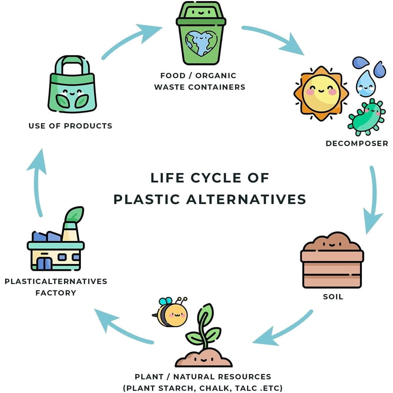 Life Cycle Of Plastic Bags | ppgbbe.intranet.biologia.ufrj.br