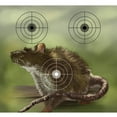 Crosman Varmint Shooting Targets, 20 Count, 9.75" x 9.0", .01 LBS, 0496 ...