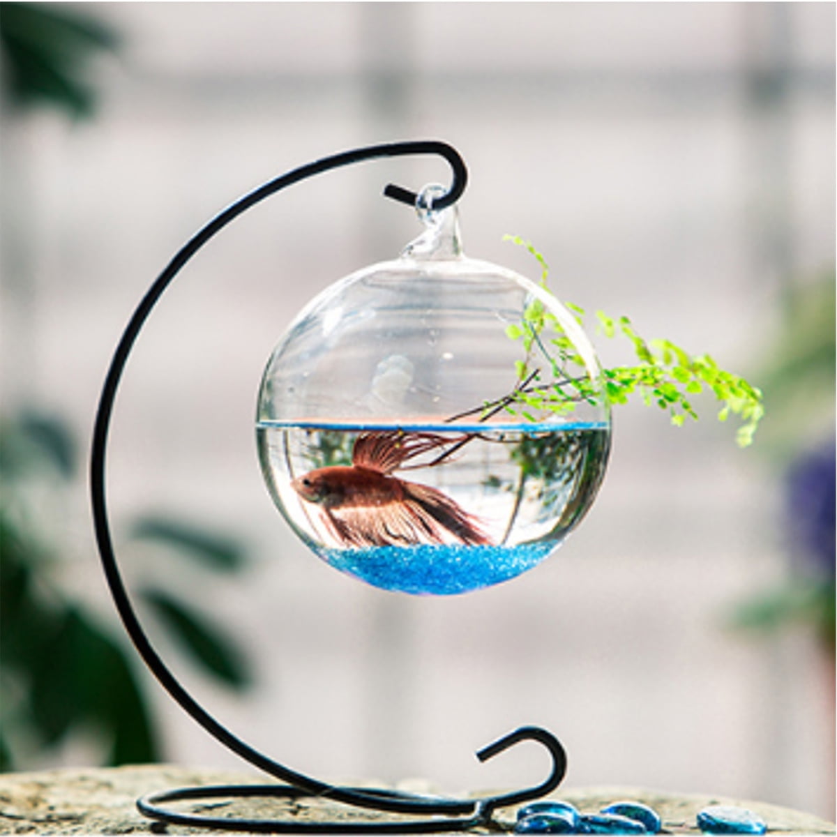 Hanging Pot Glass Ball Planter Vase Mini Fish Tank Aquarium Container ...