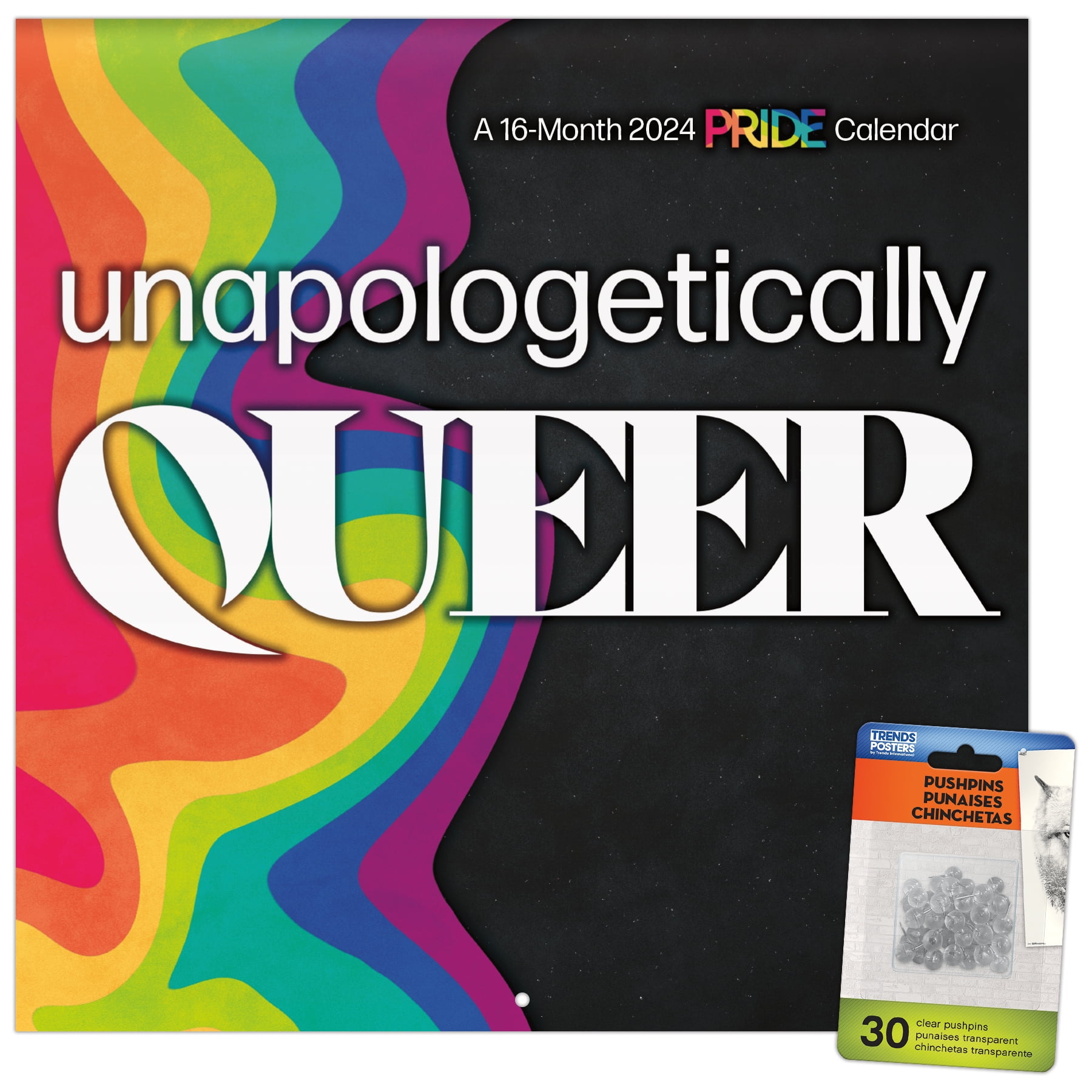 Trends International 2024 Pride Wall Calendar & Push Pins - Walmart.com