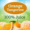 Juicy Juice 100% Juice, Orange Tangerine, 48 FL OZ Bottle - Walmart.com