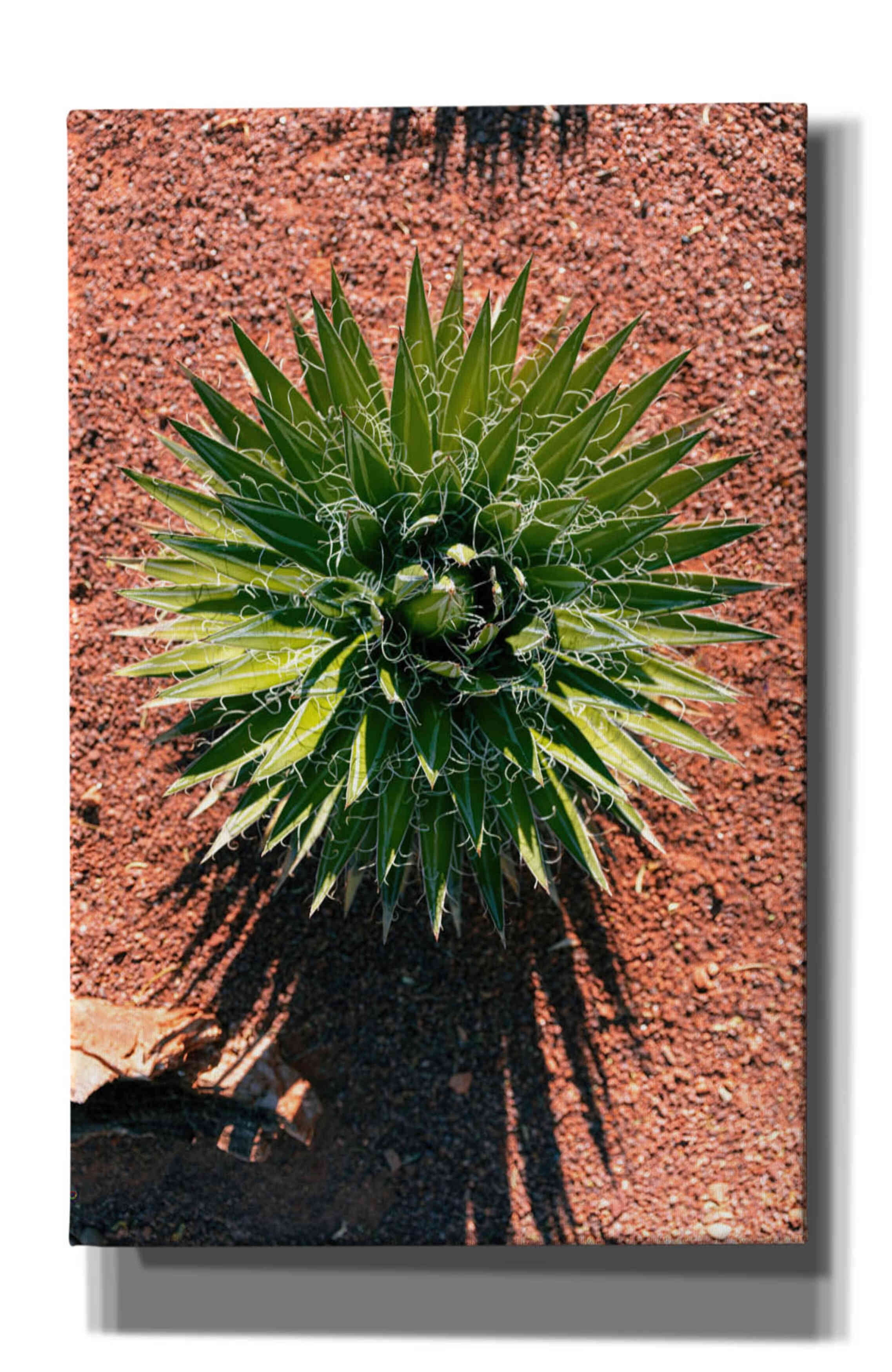 Epic Graffiti 'Utah - Cactus 2' by Epic Portfolio, Canvas Wall Art, 26 ...