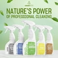 Clean 100 All Purpose Cleaner and Degreaser Natural Heavy Duty Kitchen ...