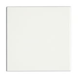 Rust Bullet - WhiteShell Rust Preventative and Protective Coating - 5 ...