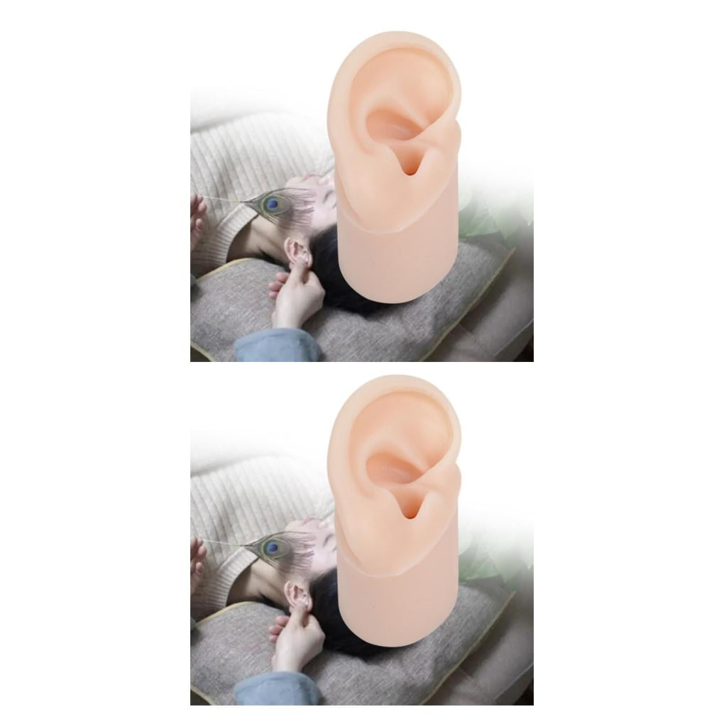Vogacara Modelo de oreja de silicona Herramientas de aprendizaje de ...