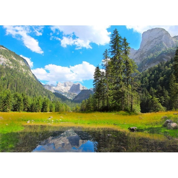 ABPHOTO 7x5ft Photography Backdrop Nature Landscape Outdoor Mountain ...