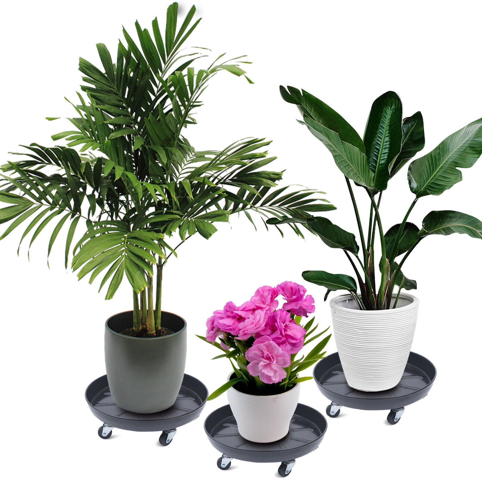 Fichiouy 3 Pcs Movable Plant Caddy with Wheels Plant Dolly Rolling ...