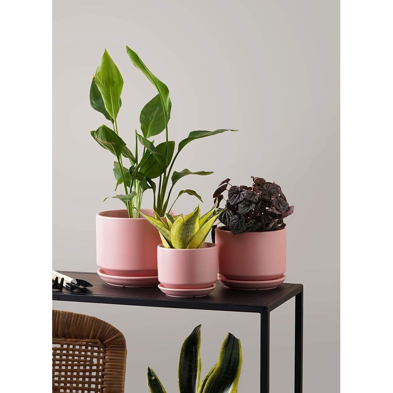 Pink Ceramic Flower Pots Blush Ceramic Planter Set – PRAKRTI GARDEN