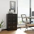 STANI Lockable 4 Drawer Black File Cabinet, Metal Office Storage ...