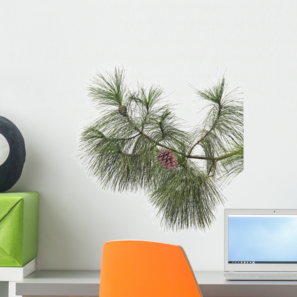 Pine Branch with Cones Wall Decal by Wallmonkeys Peel and Stick Graphic ...