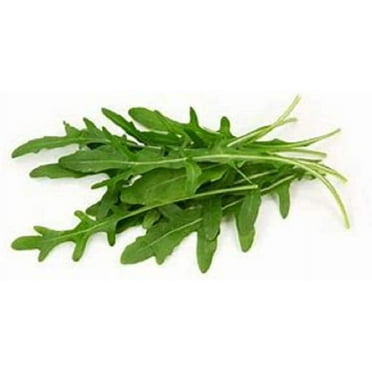 Earthcare Heirloom Seeds - Wild Lettuce Lactuca Virosa 50 Open ...