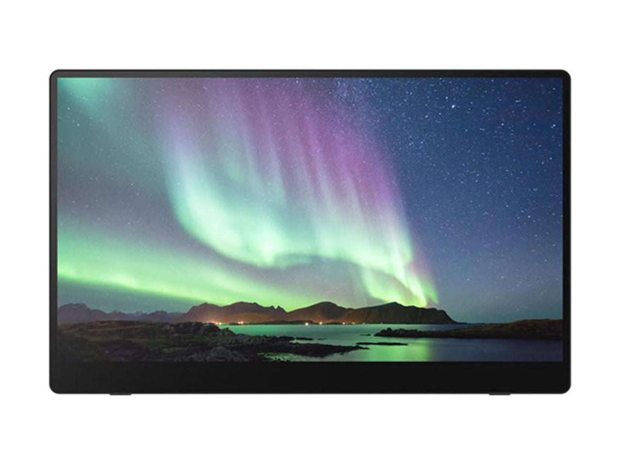 Ricoh 150BW Portable 15.6" Vivid OLED Lightweight Display Monitor and ...