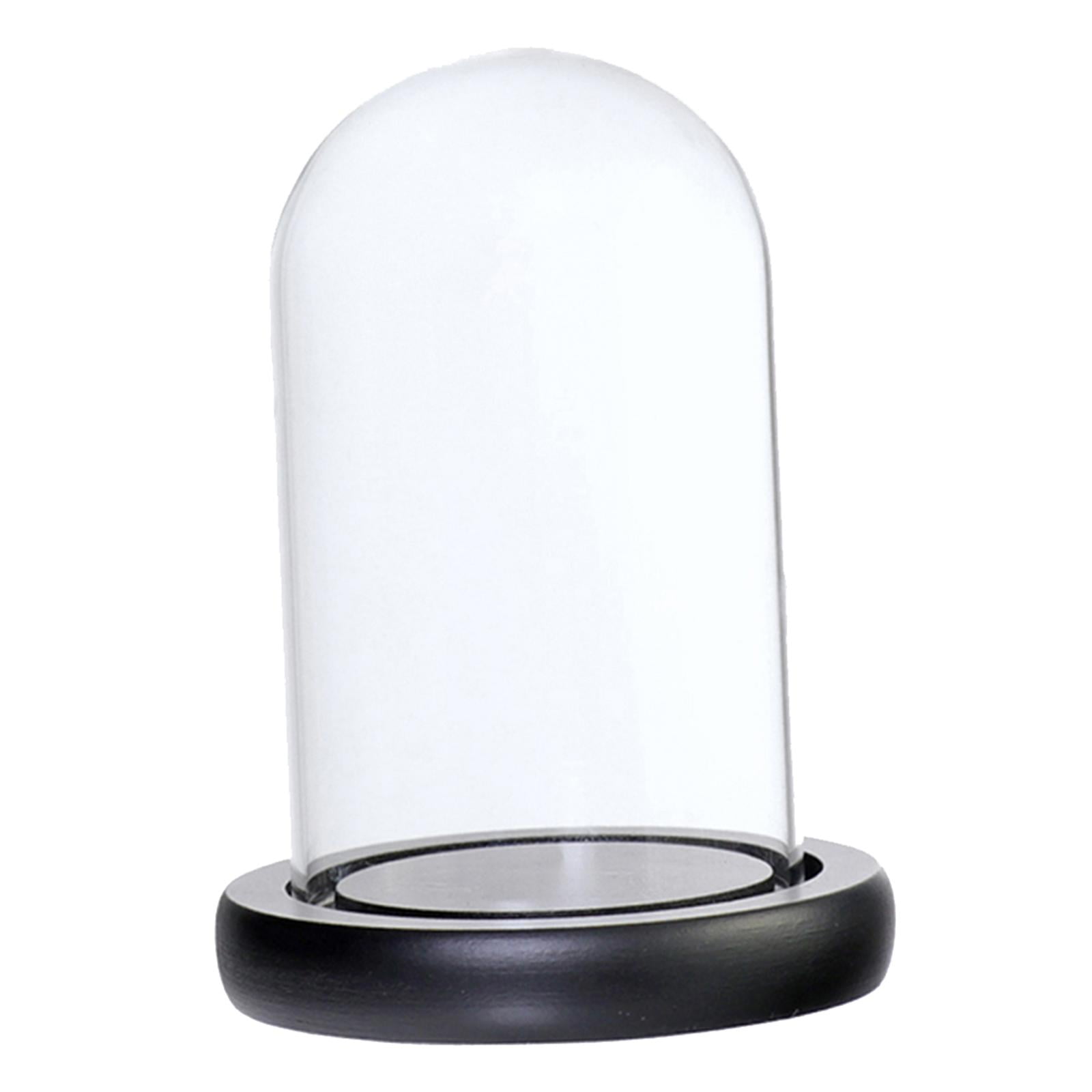 Decorative Glass Cloche Bell Jar Dome with Wooden Base Display Decor ...