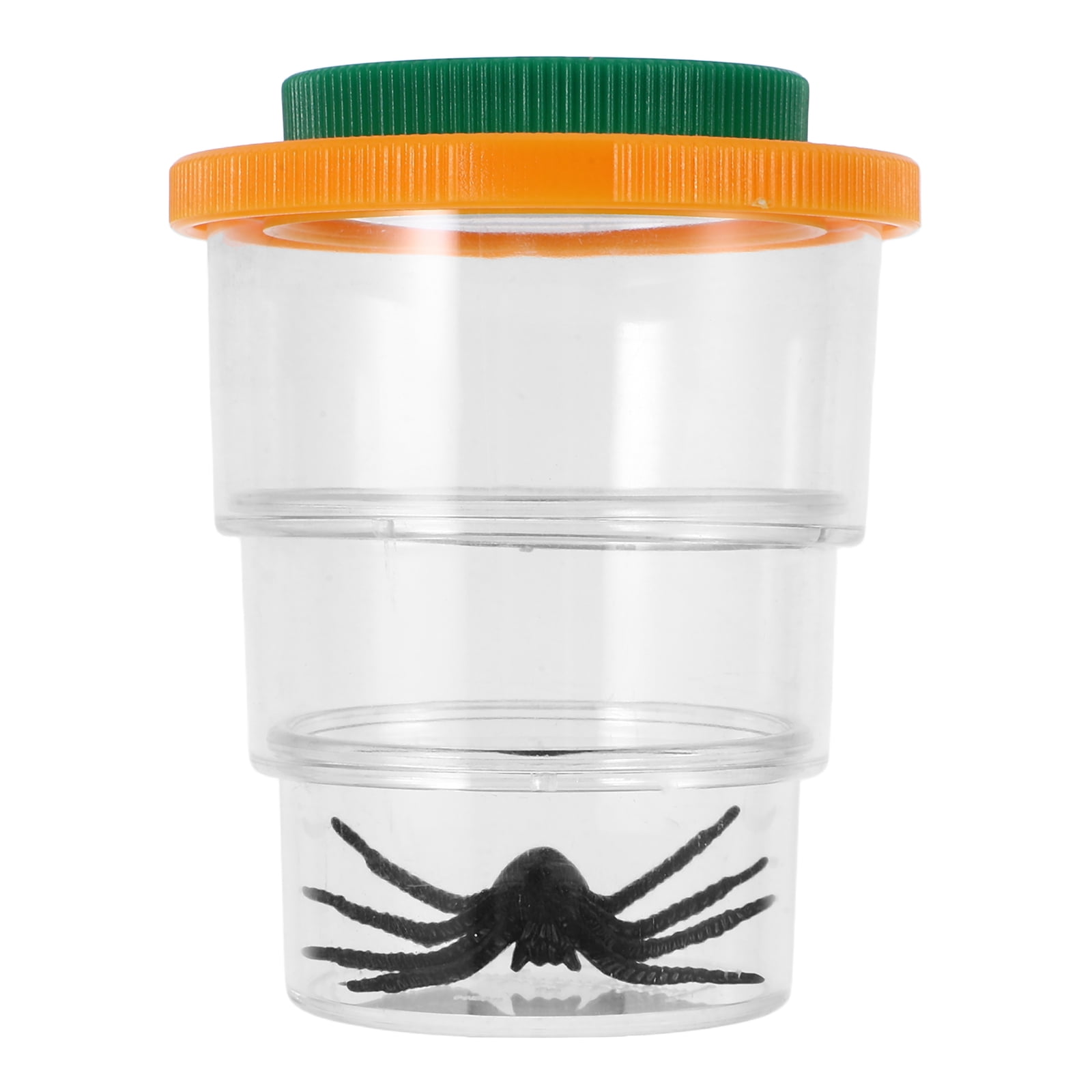 EeaseMX cajas de observación de insectos, observador de biología ...