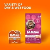 IAMS Proactive Health Urinary Tract Health Chicken Dry Cat Food 3.5Lb ...