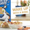 Kellogg's Frosted Flakes Cereal - Family Size - 21.7 oz (Pack of 2 ...